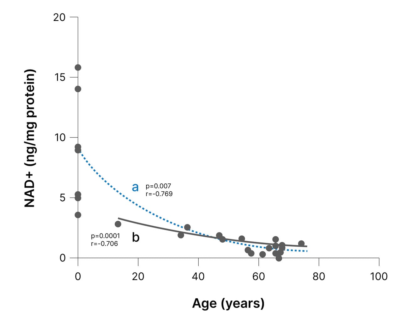 Revigorator | Products